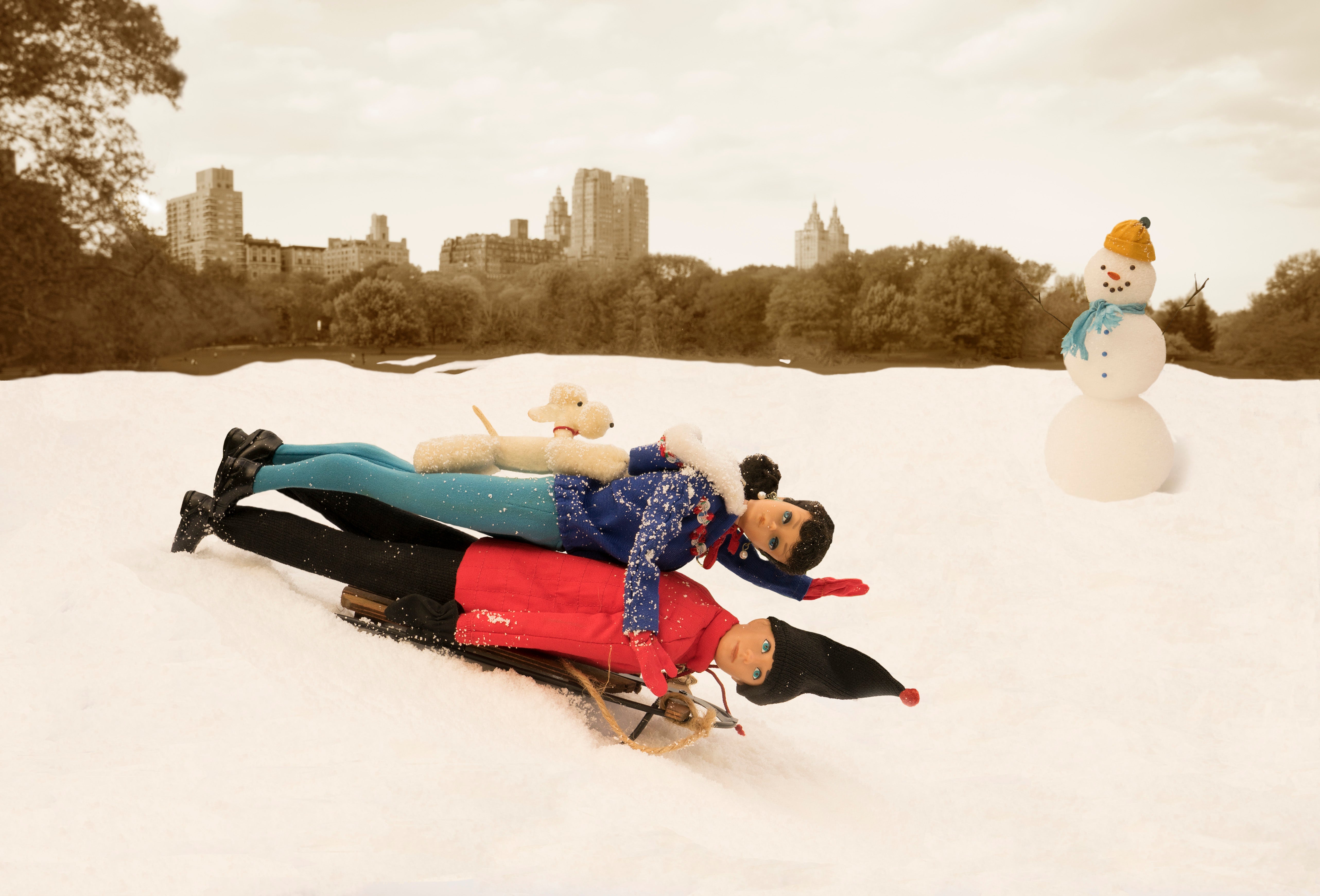 Barbie and Ken Sledding Central Park – Barbie and Ken Photos