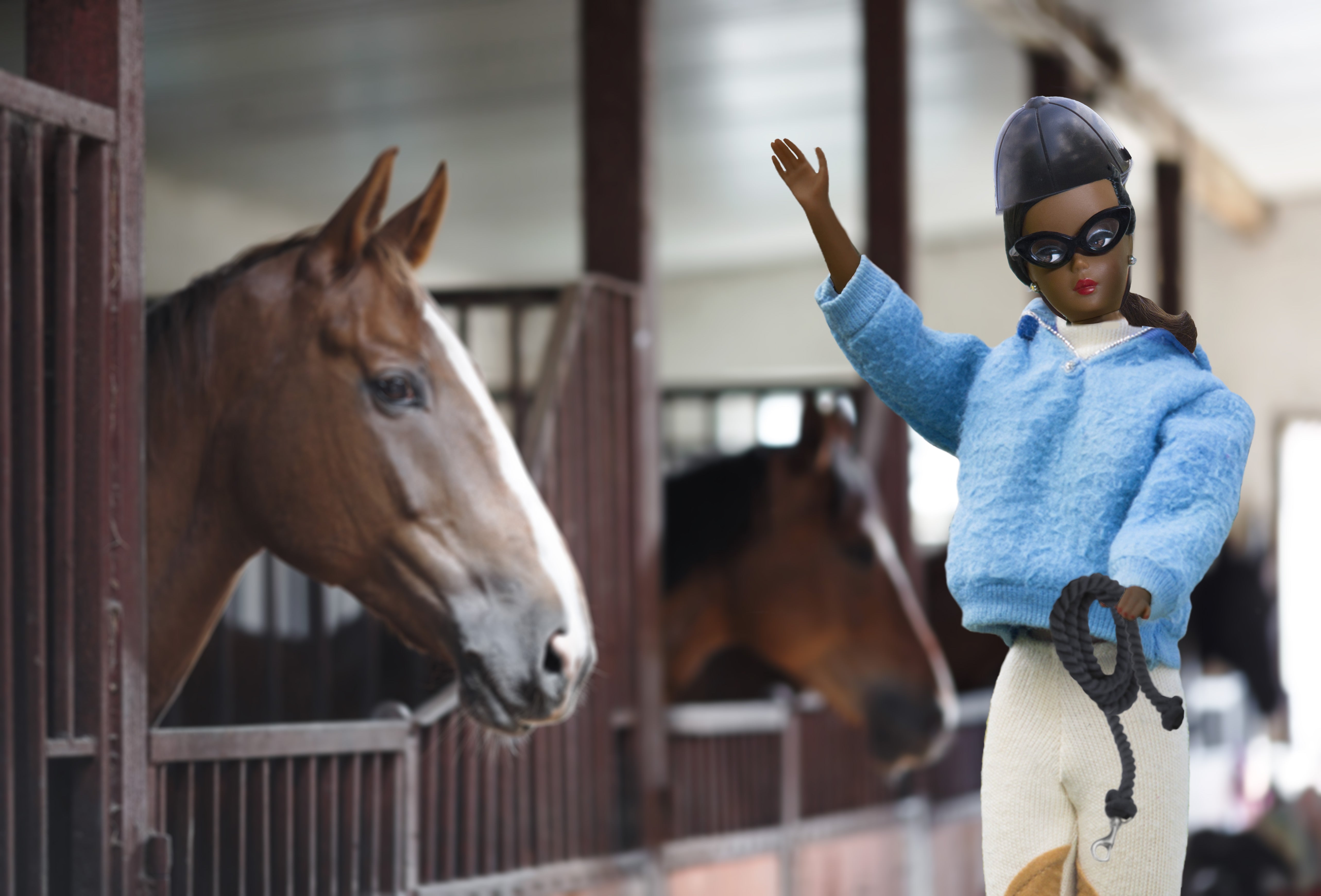 Chestnut Love (Black) – Barbie and Ken Photos