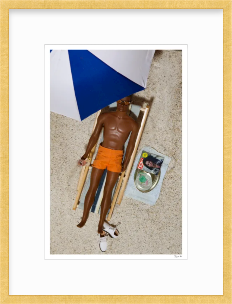 Beach Singles! - Steve – Barbie and Ken Photos